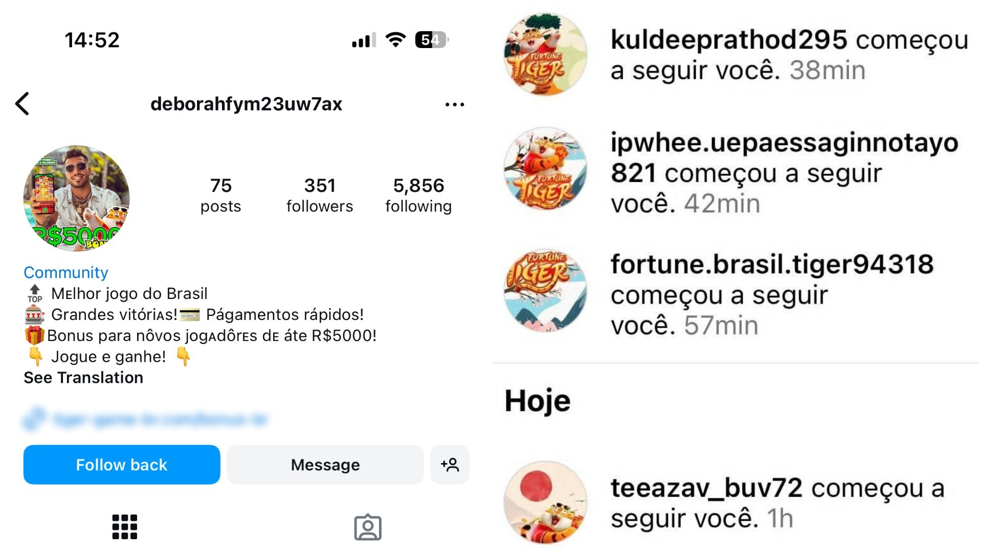 O que é o ‘jogo do tigrinho’ - NE Sua fonte de Cultura POP
